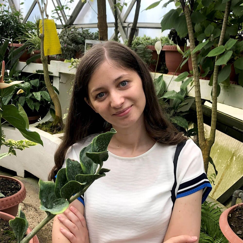 Alexandra-Ligia Negru - Evalueserve