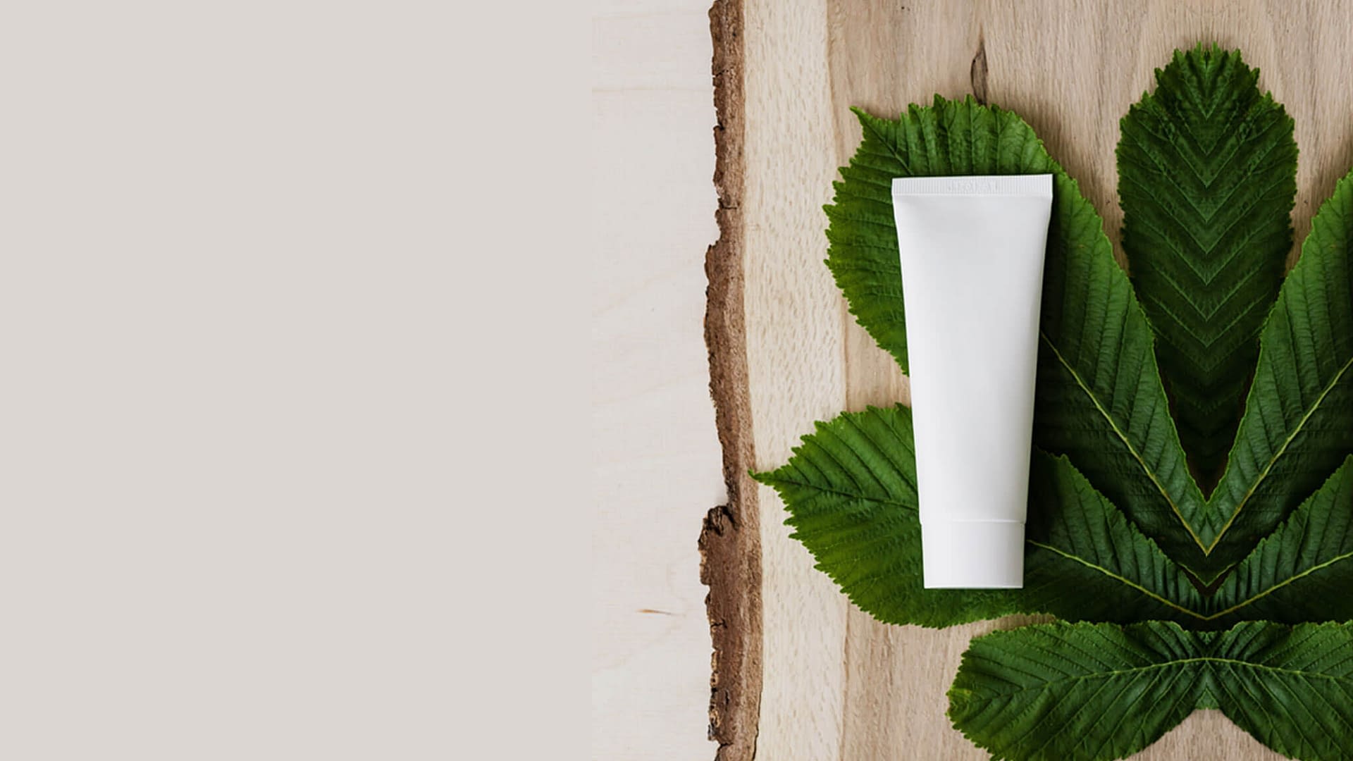 How a packaging design playbook guides net-zero emissions goals