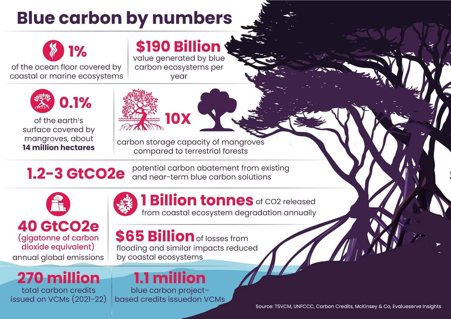 Blue carbon credits: a new solution for decarbonization in VCMs