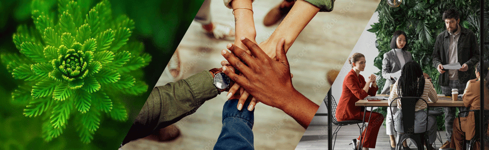 Our ESG Sustainability - Evalueserve